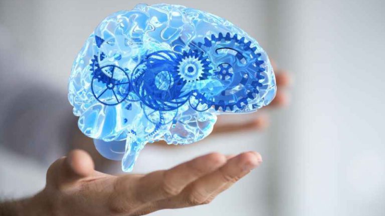 The best brain hacks for faster learning | karnataka Caps